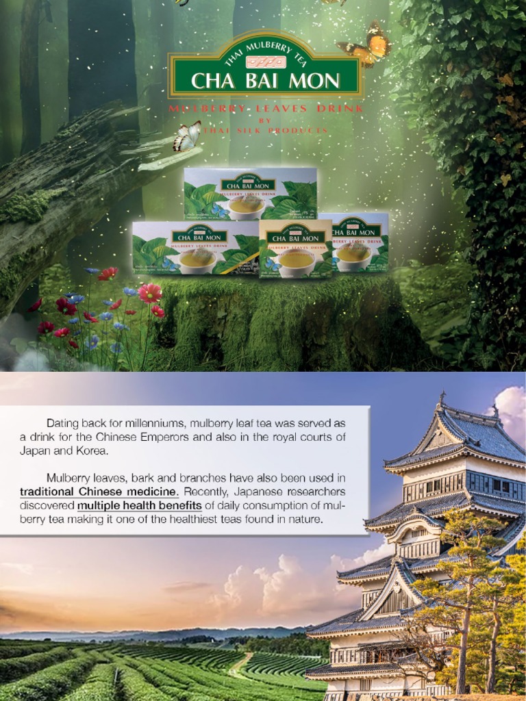 Cha Bai Tea Tree Product | PDF