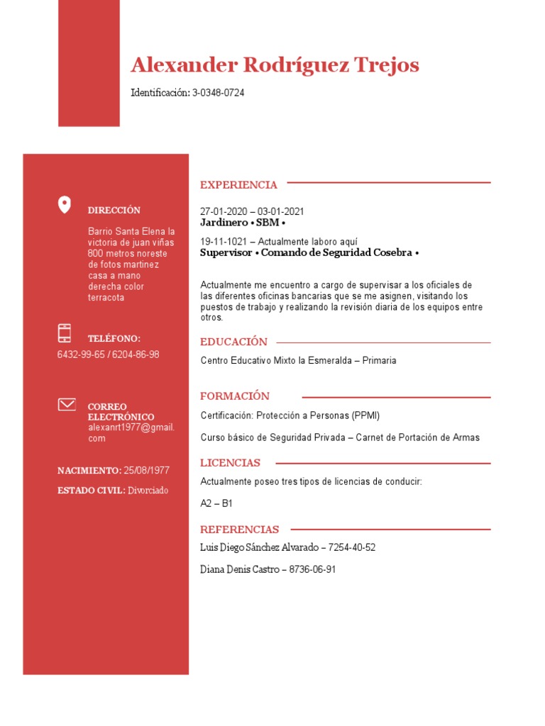 Curriculum Alex PDF | PDF