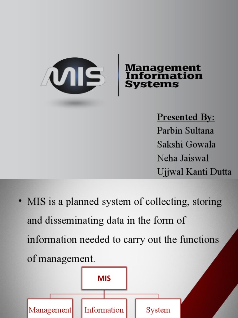 Management Information System | PDF | Management Information System | Information