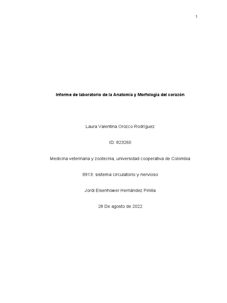 Informe Del Corazon-Morfologia | PDF | Corazón | Ventrículo (corazón)