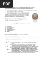CCS Manual PDF | PDF