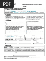 Modelo Solicitud de Licencias Permisos y Vacaciones | PDF | Hospital | Adopción