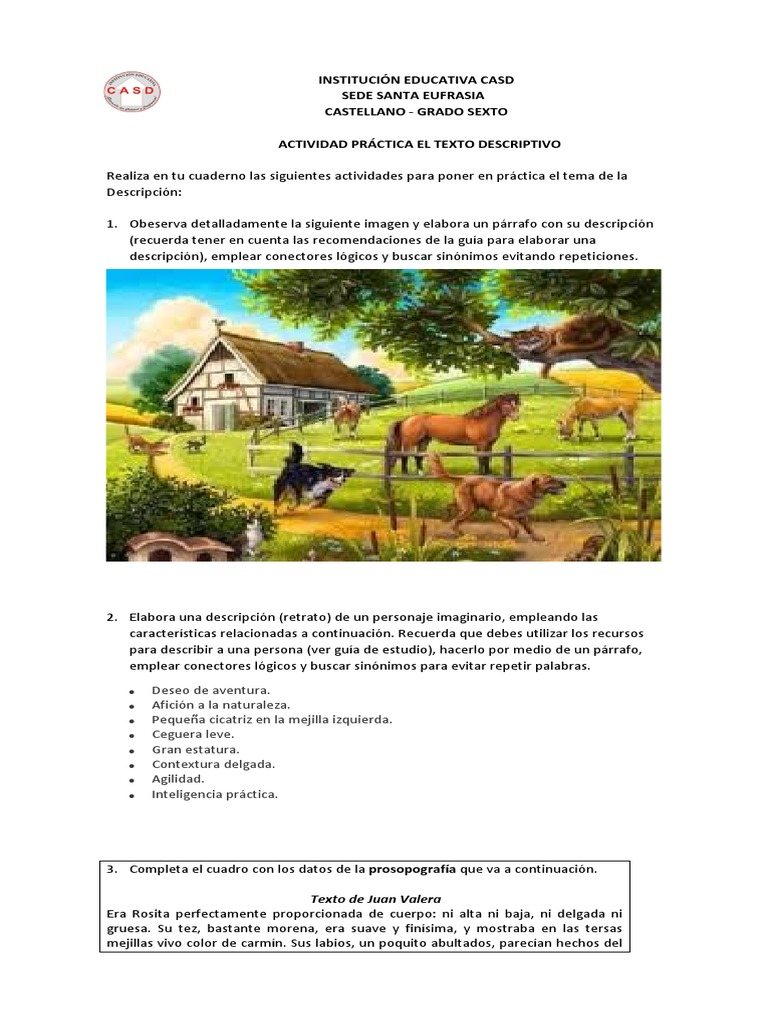 ACTIVIDAD PRÁCTICA TEXTO DESCRIPTIVO | PDF