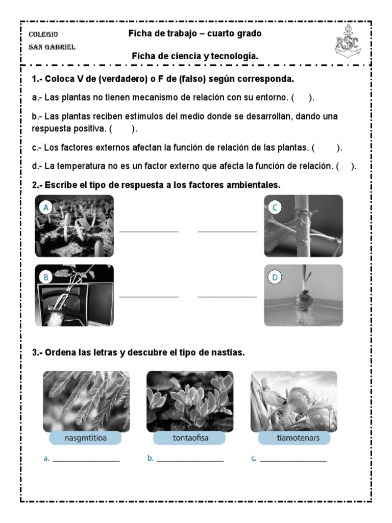 Ficha de Ciencia y Tecnologia Cuarto Grado 2023 | PDF