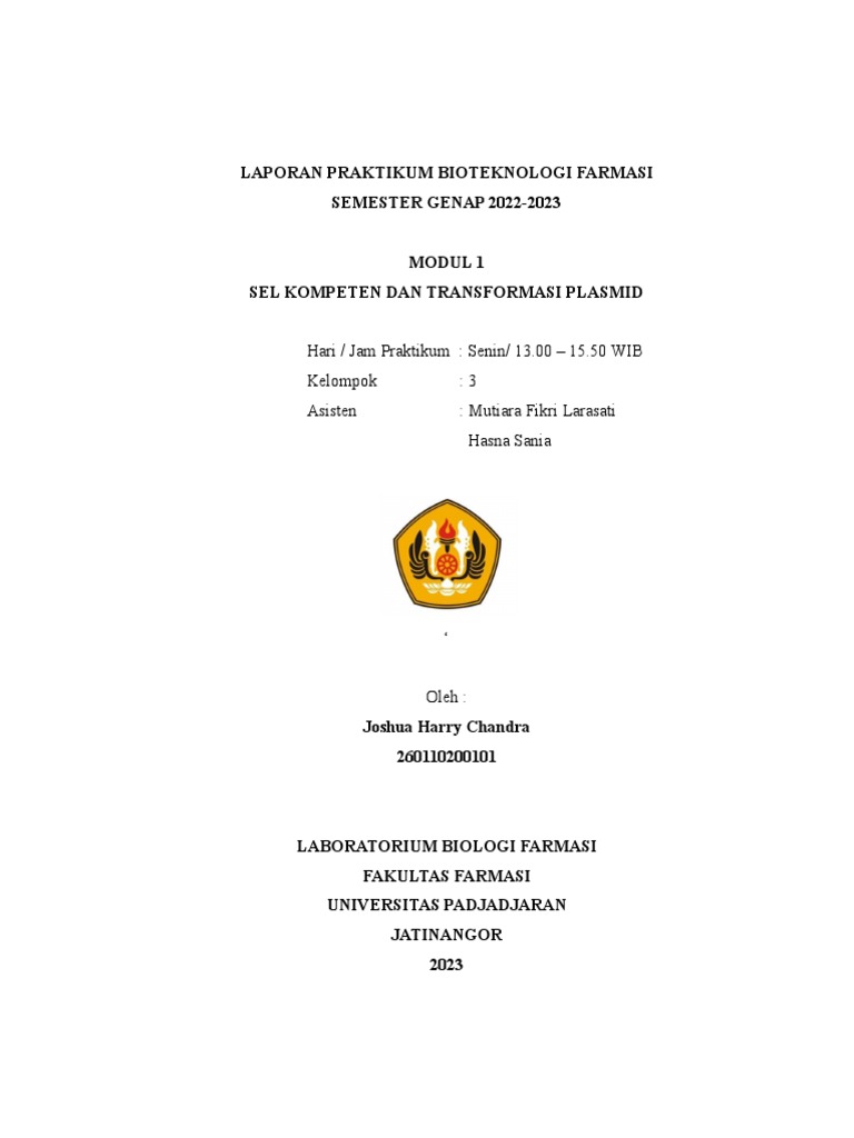 Transformasi Plasmid pUC19 pada E. coli | PDF