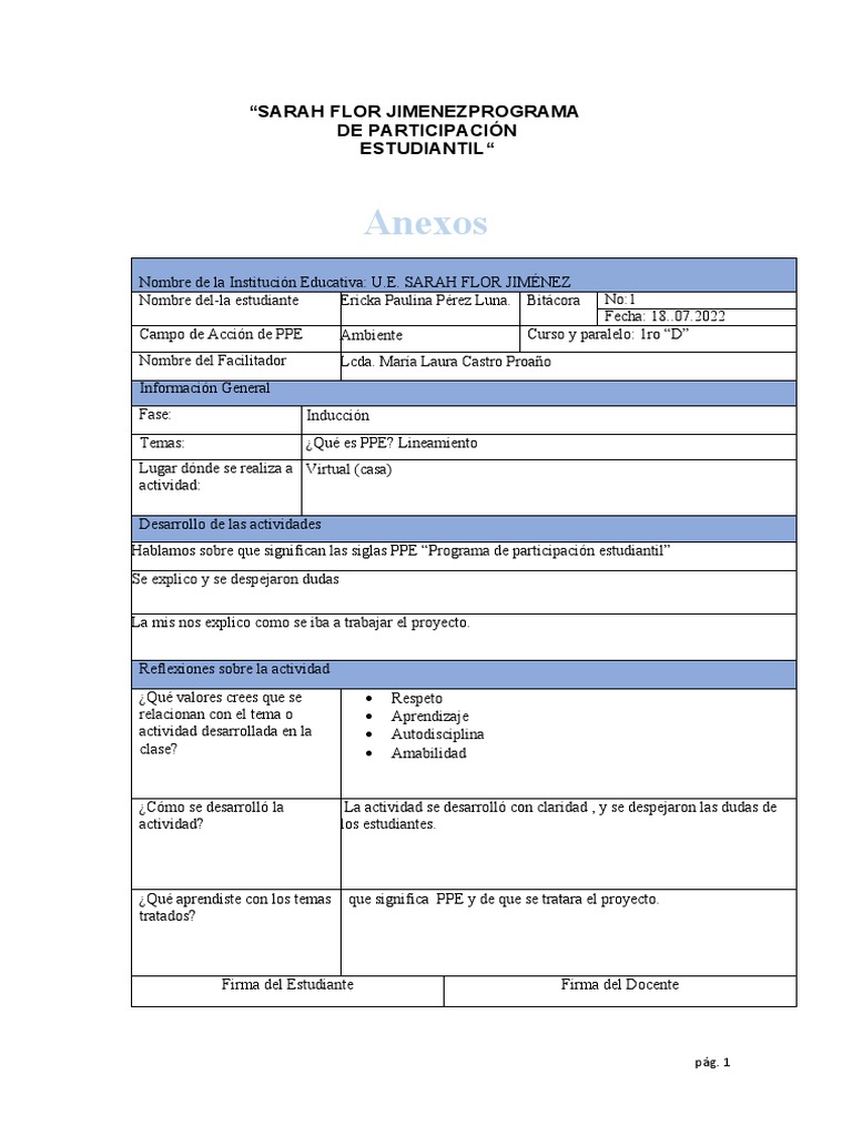 Bitácoras del Programa PPE 1ro "D" | PDF | Maestros | Modificación de ...