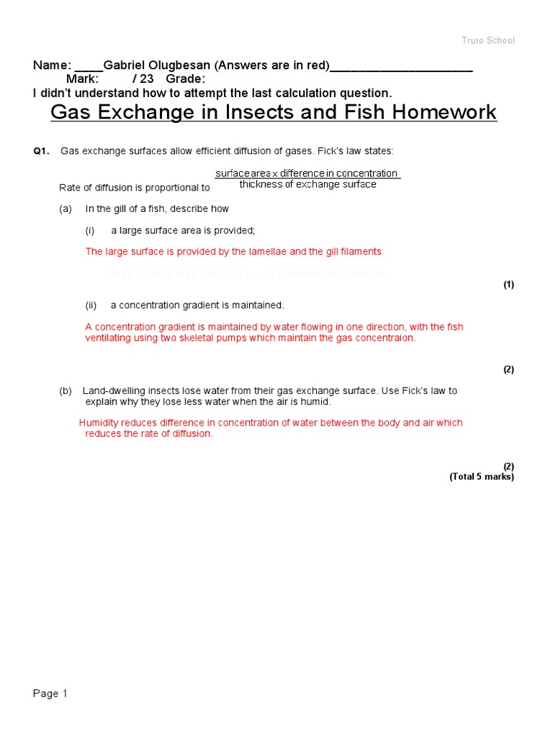 3d Gas Exchange in Insects and Fish Homework-Gabriel Olugbesan | PDF ...