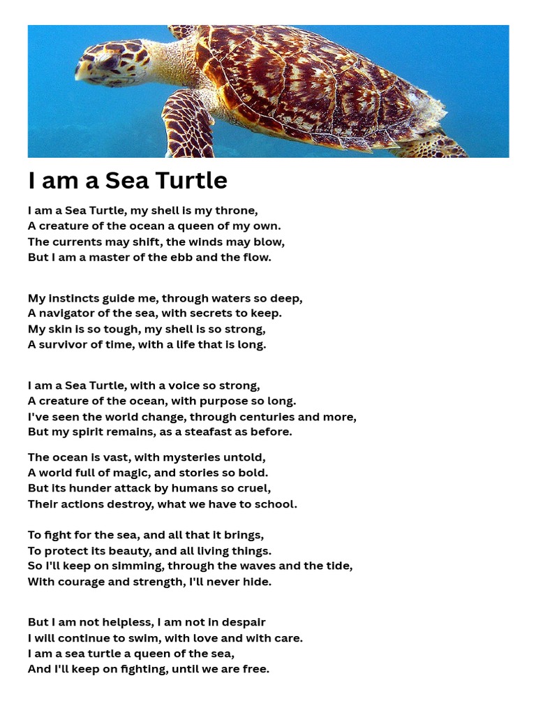 A Sea Turtle's Resilience and Commitment to Protecting the Ocean | PDF