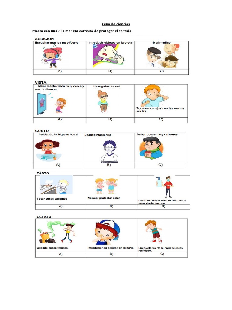 Guía de ciencias OA6 13.03 | PDF
