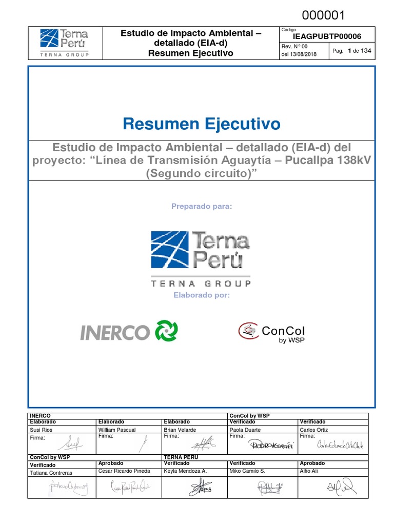 Resumen Ejecutivo EIA PDF | PDF | Evaluación de impacto ambiental | Infraestructura