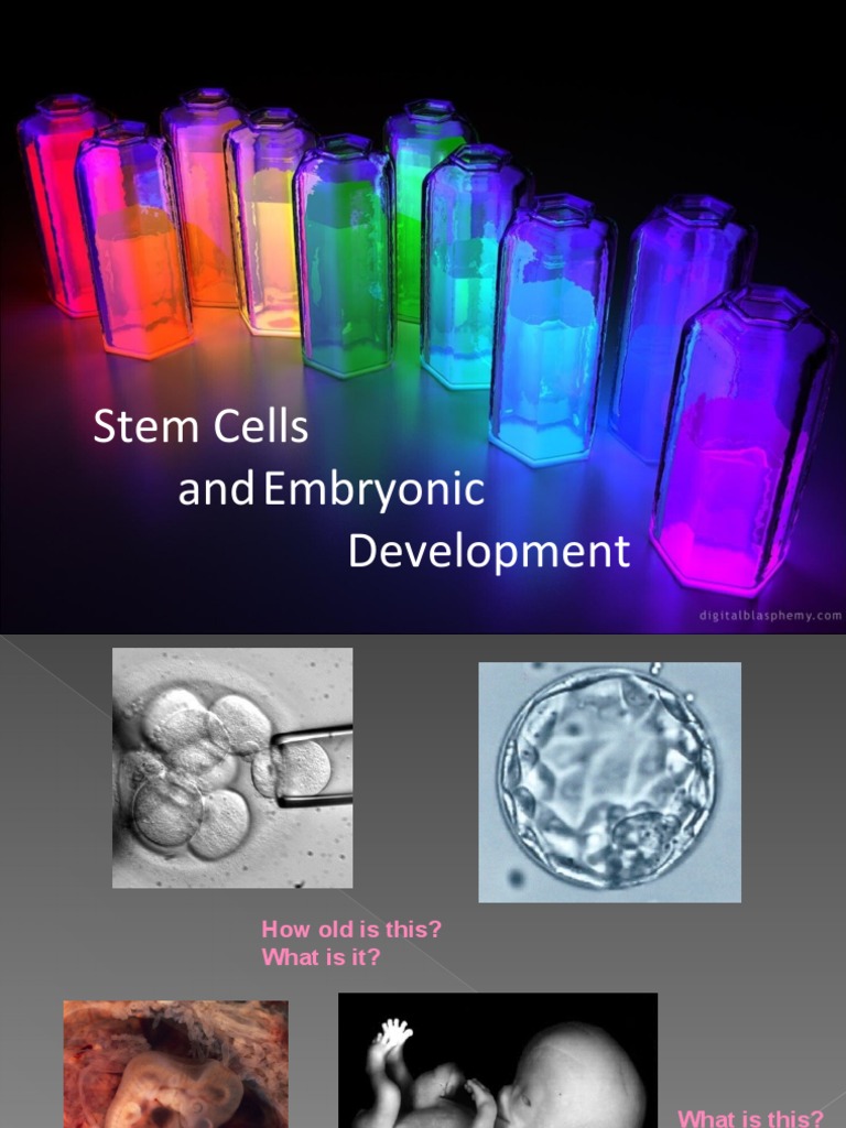 Unit 1 Lesson | PDF | Embryo | Stem Cell Unit 1 Lesson | PDF | Embryo | Stem Cell