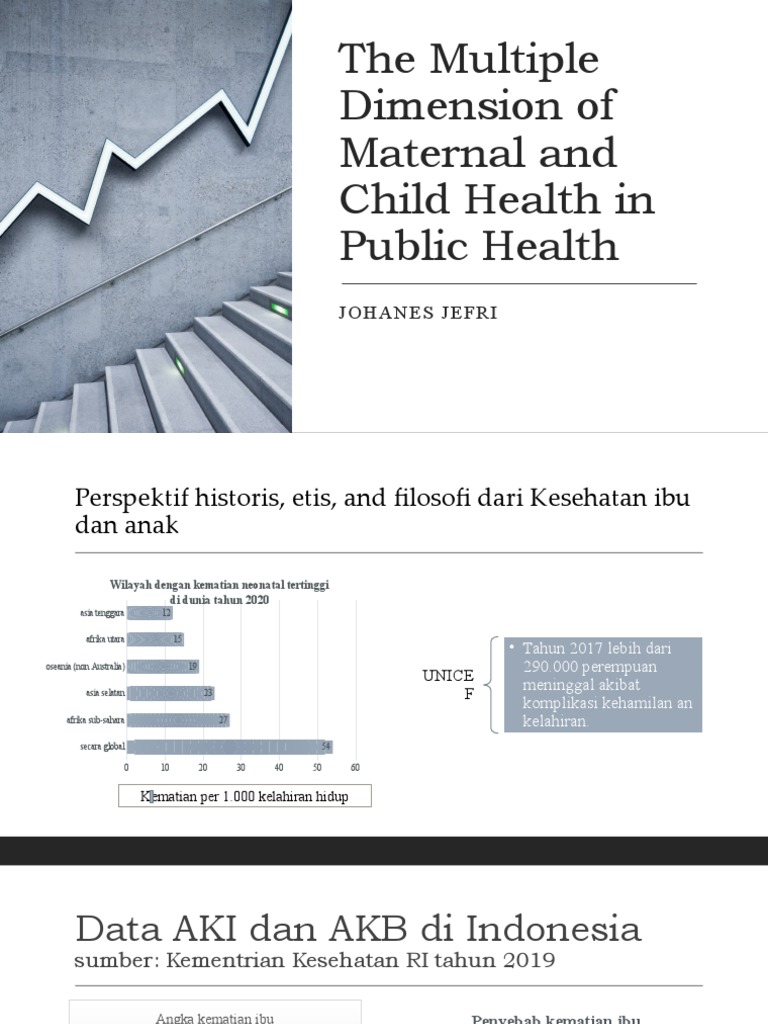 The Multiple Dimension of Maternal and Child Health22 | PDF