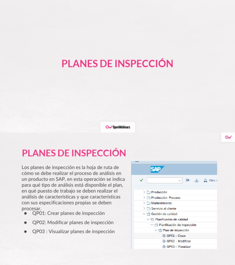 Modificación de Planes de Inspección QP02 | PDF
