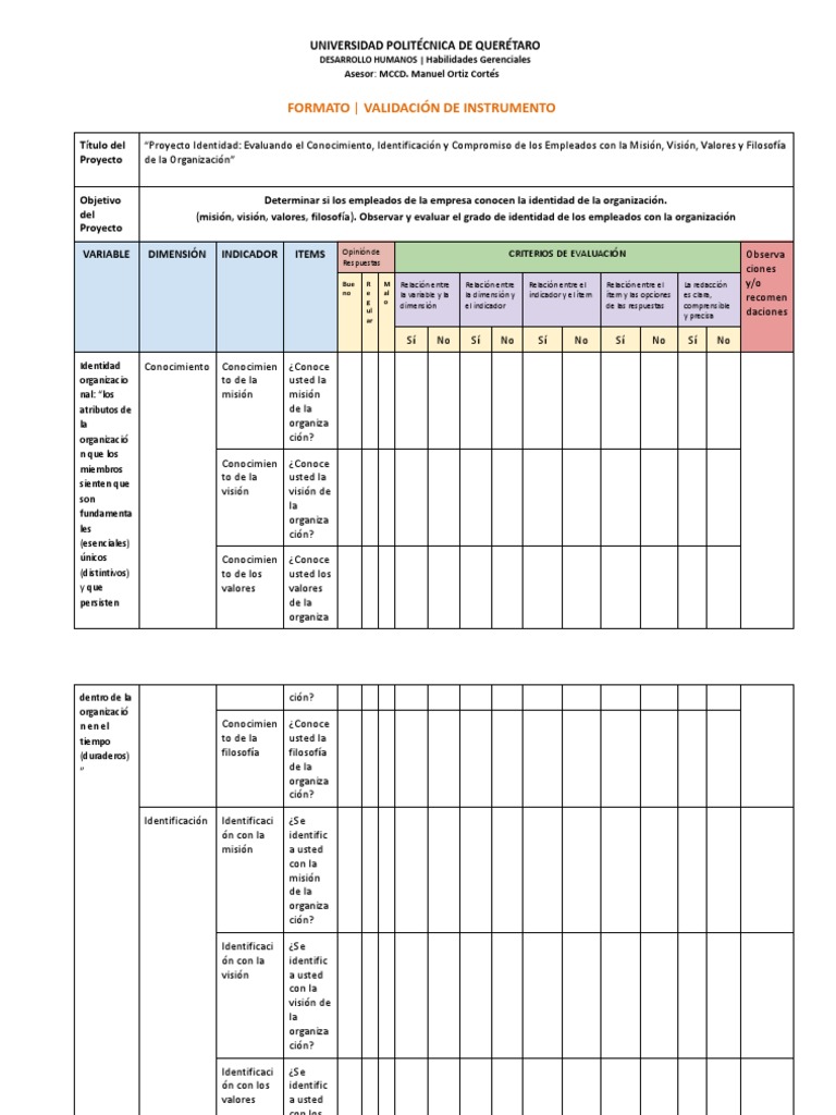 Formato de Validación de Instrumento | PDF
