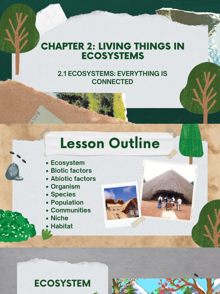 Chapter 2 Living Things in Ecosystems PDF | PDF | Ecosystem ...