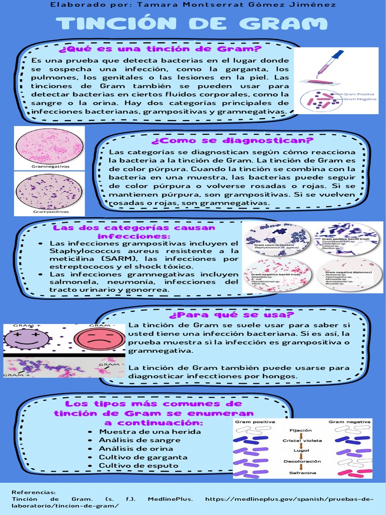 Infografía-Tinción de Gram | PDF