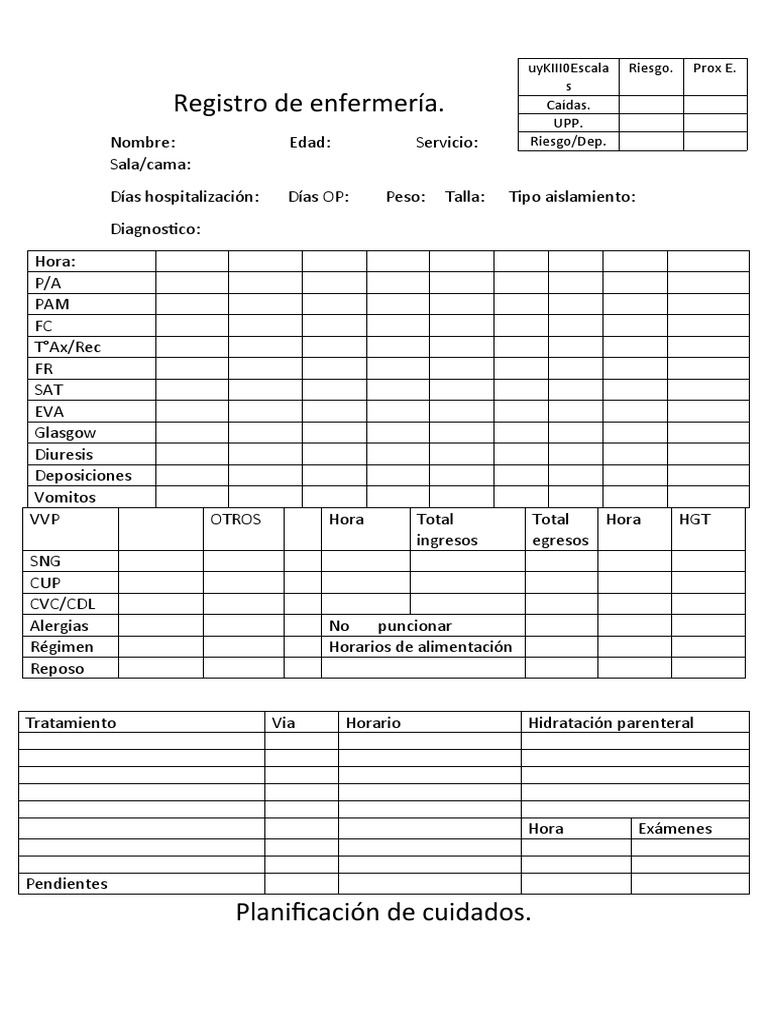 Hoja de Enfermeria. | PDF