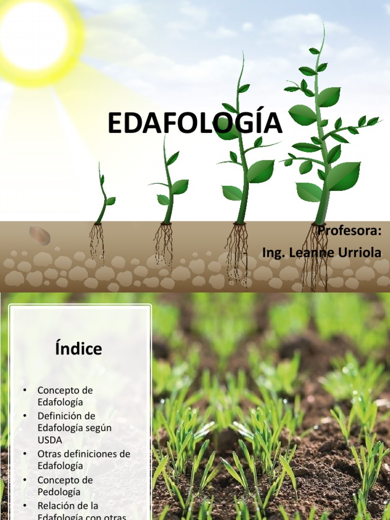 I Clase - Conceptos Sobre Edafología | PDF | Suelo | Ciencias de la Tierra