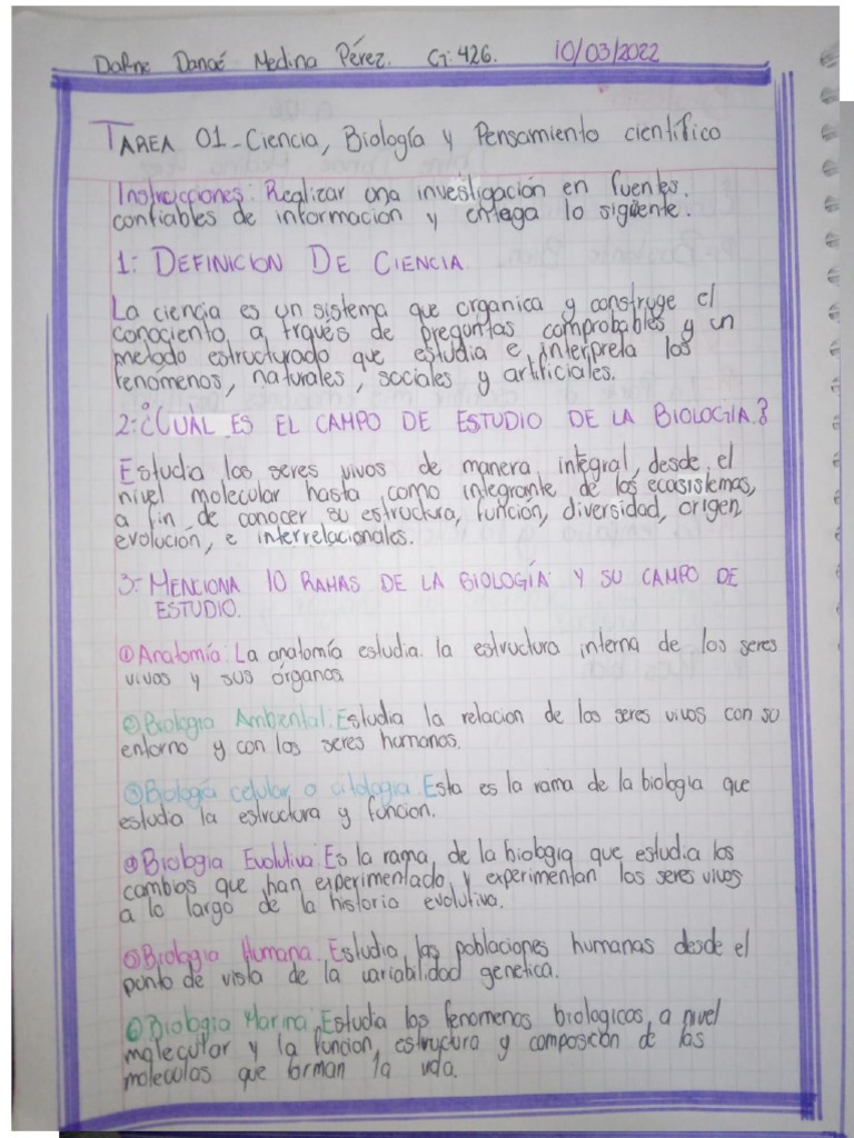 Tarea01 22058519a DDMP PDF | PDF