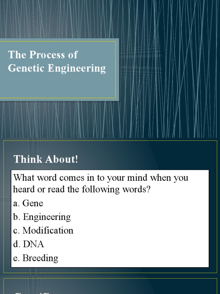 The Process of Genetic Engineering | PDF | Genetics | Genetic Engineering