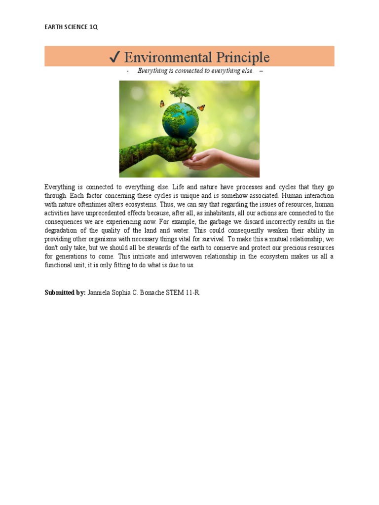 Environmental Principle | PDF