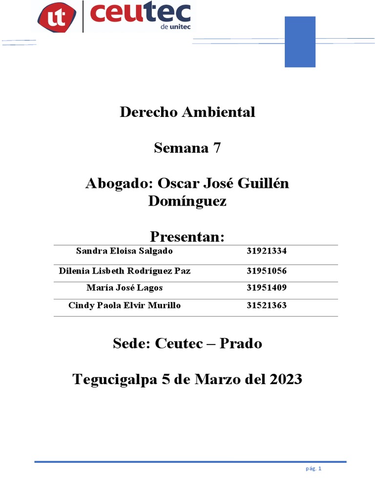 Licenciamiento Ambiental - Grupo | PDF | Bancos | Entorno natural