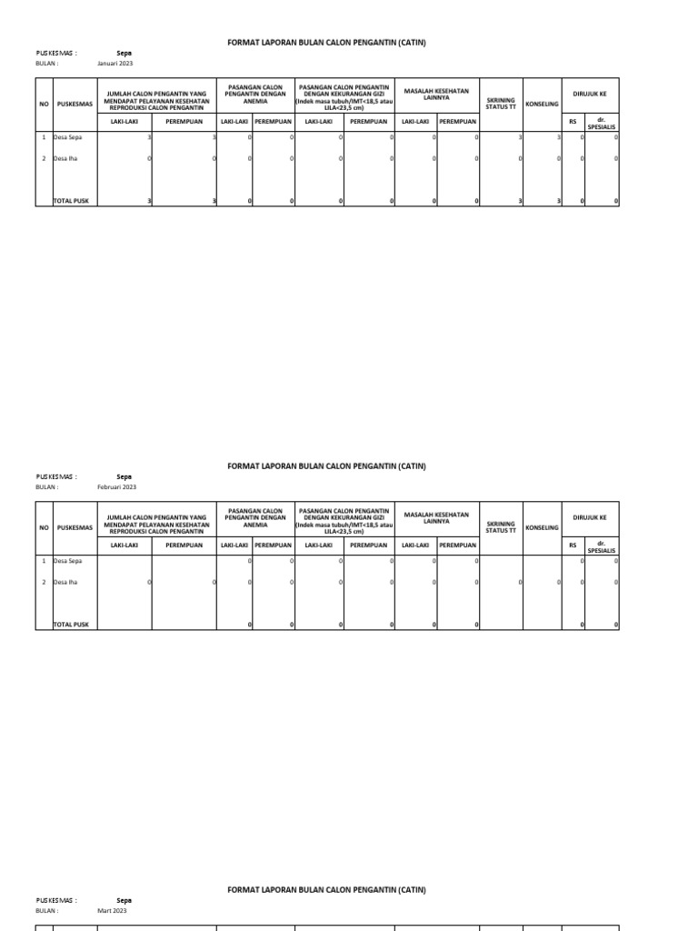 Laporan Catin PKM Sepa 2023 | PDF