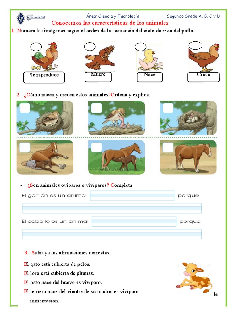 Ficha 22conocemos Las Caracteristicas De Los Animales Pdf