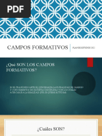 Mapa Mental CAMPOS FORMATIVOS | PDF | Aprendizaje | Conocimiento