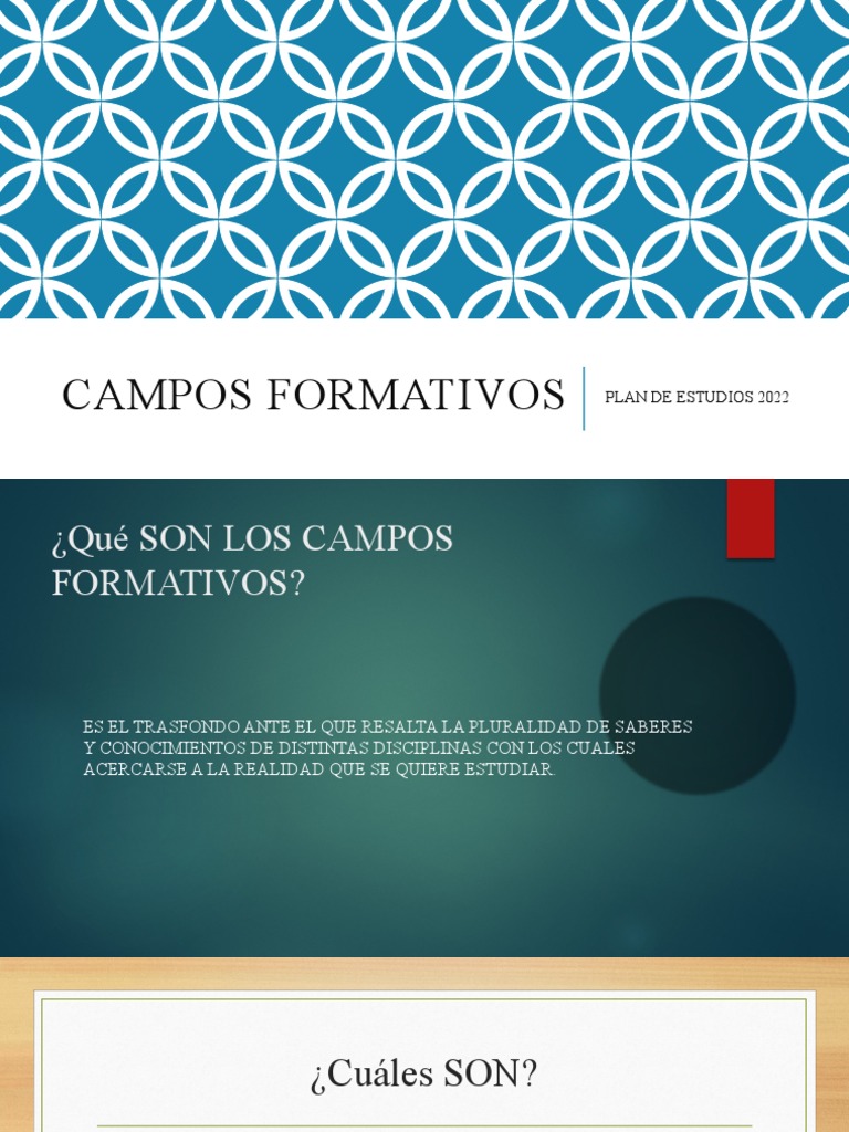 Campos Formativos | PDF | Plan de estudios | Sociedad