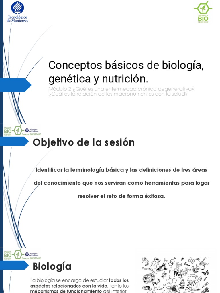 Conceptos Básicos de Biología y Nutrición PDF | PDF | Adn | Rna