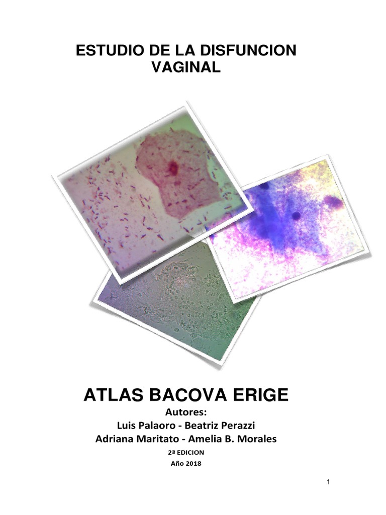 Atlas Bacova Erige 2018 PDF | PDF | Especialidades Medicas | Medicina ...