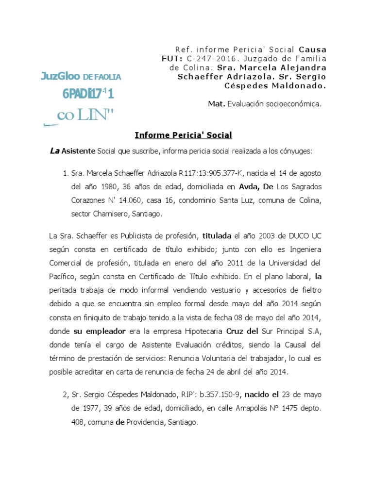 Informe de Pericia Social en Colina | PDF | Tarjeta de crédito | Desempleo