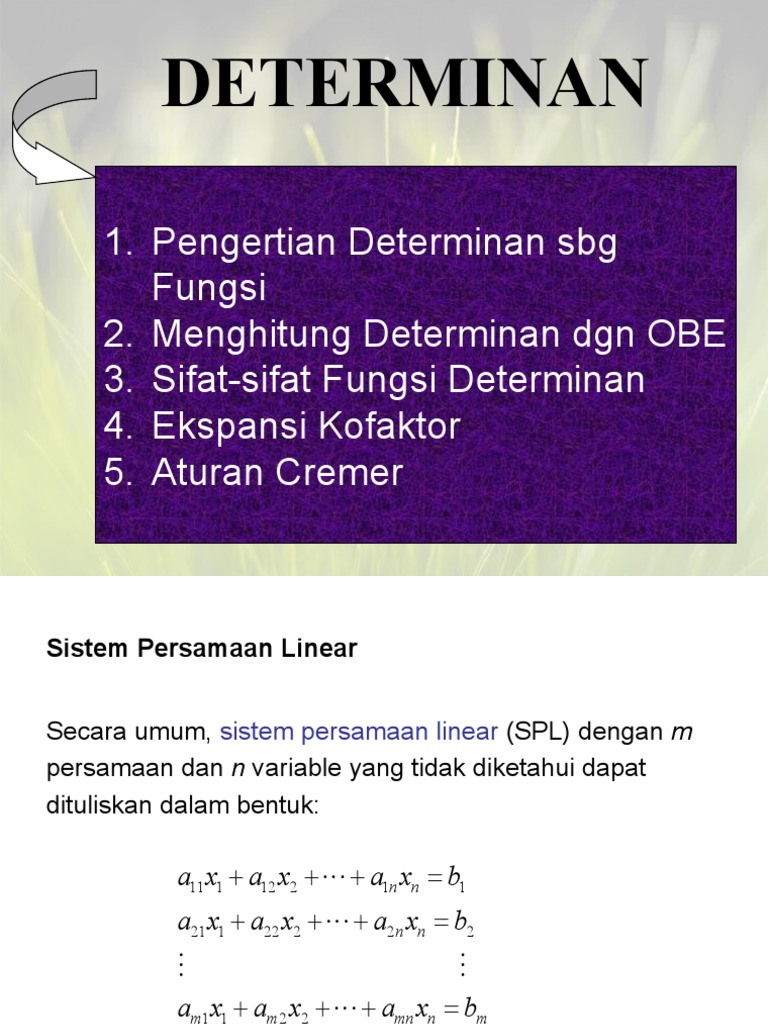 Panduan Lengkap Determinan dan SPL | PDF