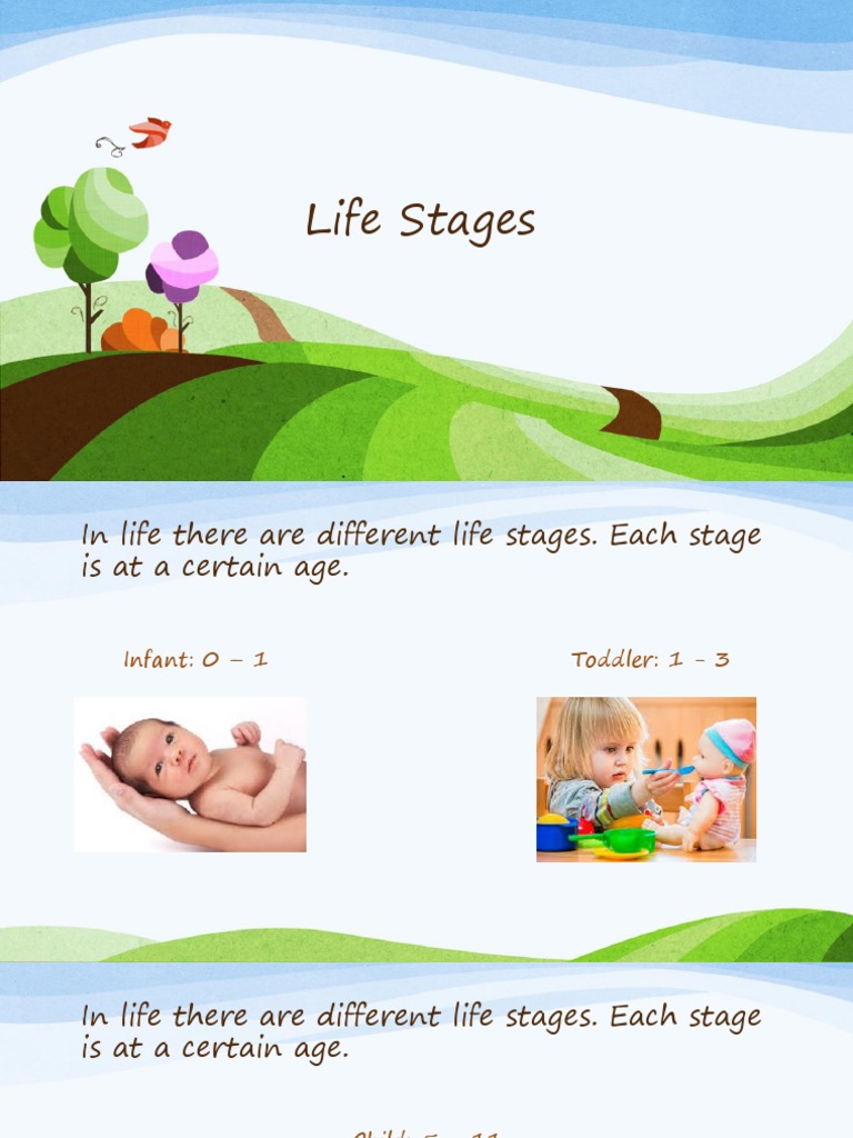 Life Stages and Key Milestones | PDF