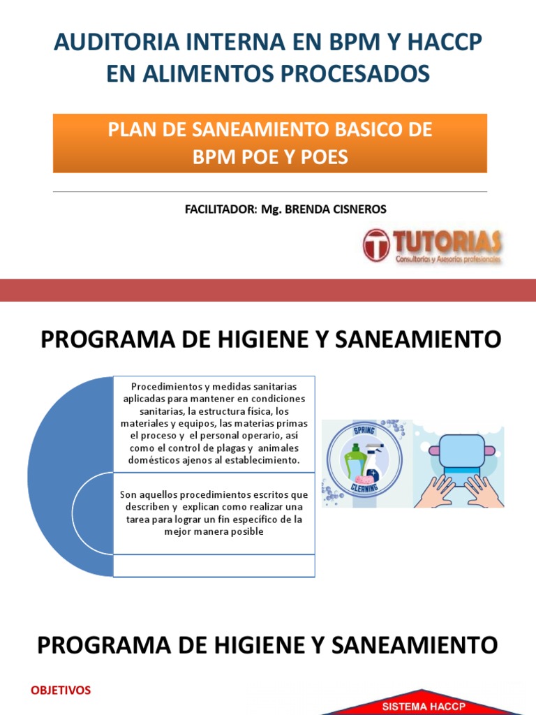 Plan de Saneamiento Basico de BPM - POE Y POES | PDF | Saneamiento | Alimentos