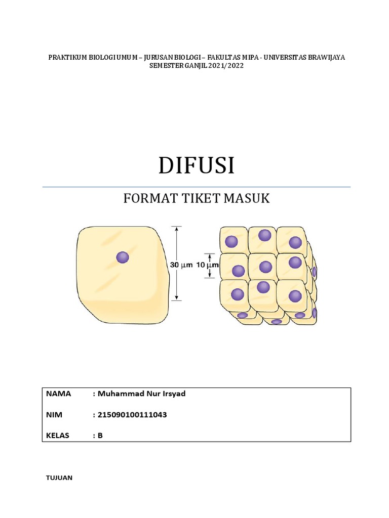 5b. Tiket Masuk - Difusi 2021 PDF | PDF