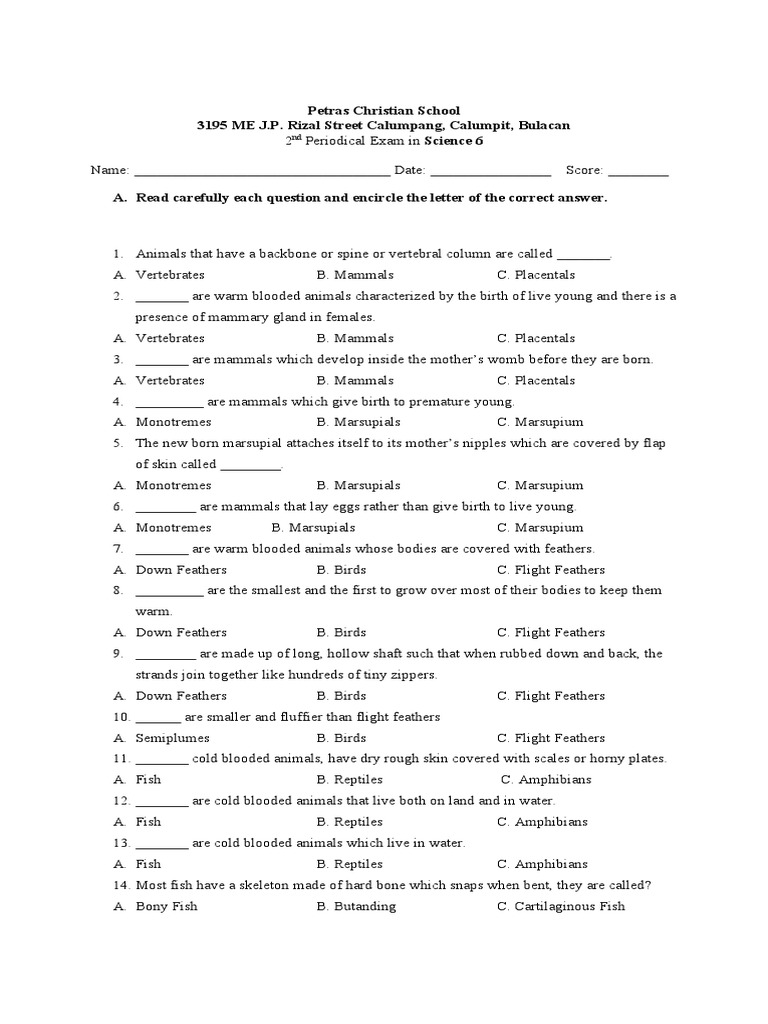 4th Summative Exam Science 6 | PDF | Invertebrate | Skeleton