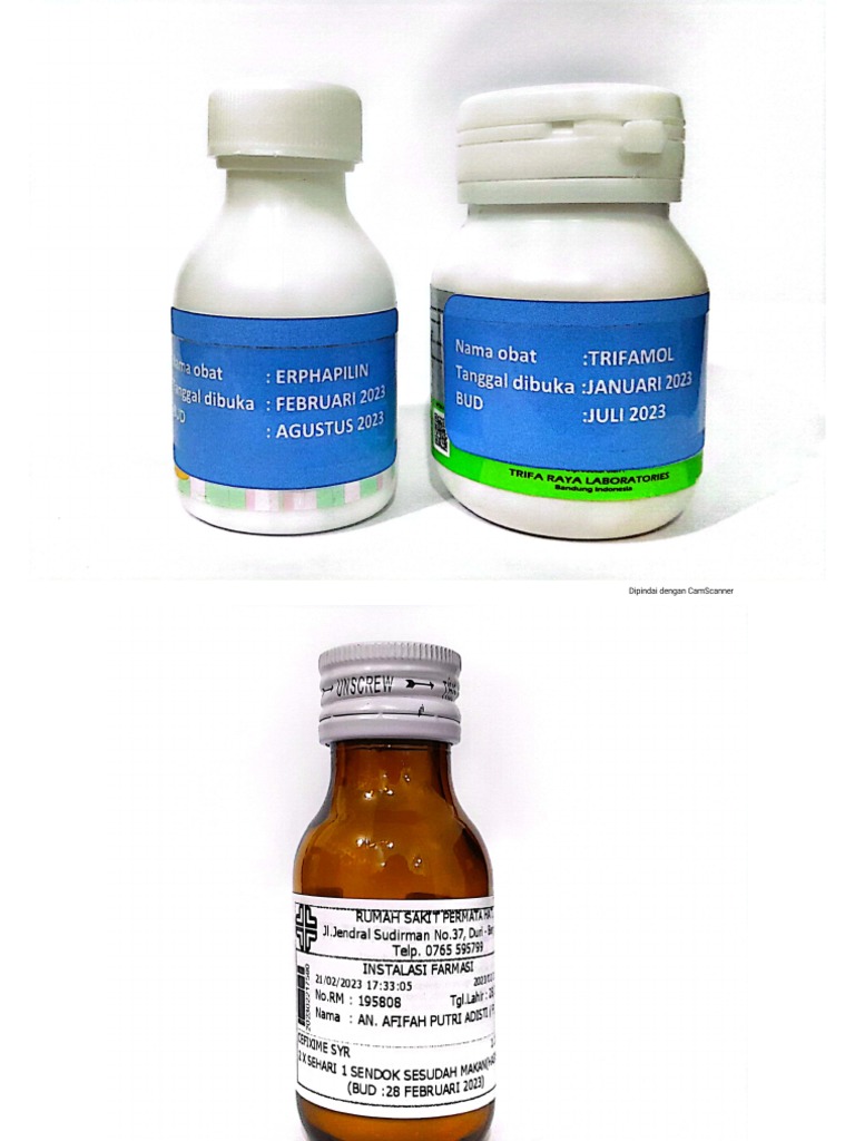 Bud 1 Bud 2 Bud 3 Merged | PDF