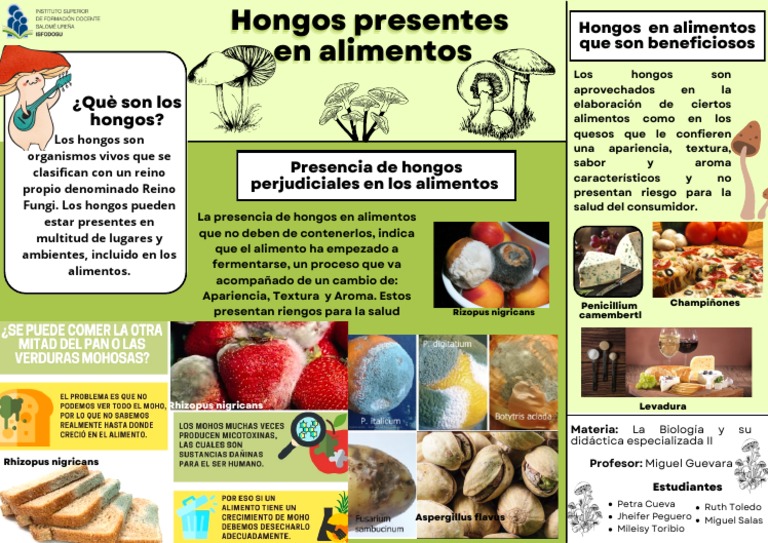 Póster de Hongos en Alimentos | PDF | Hongo | Alimentos