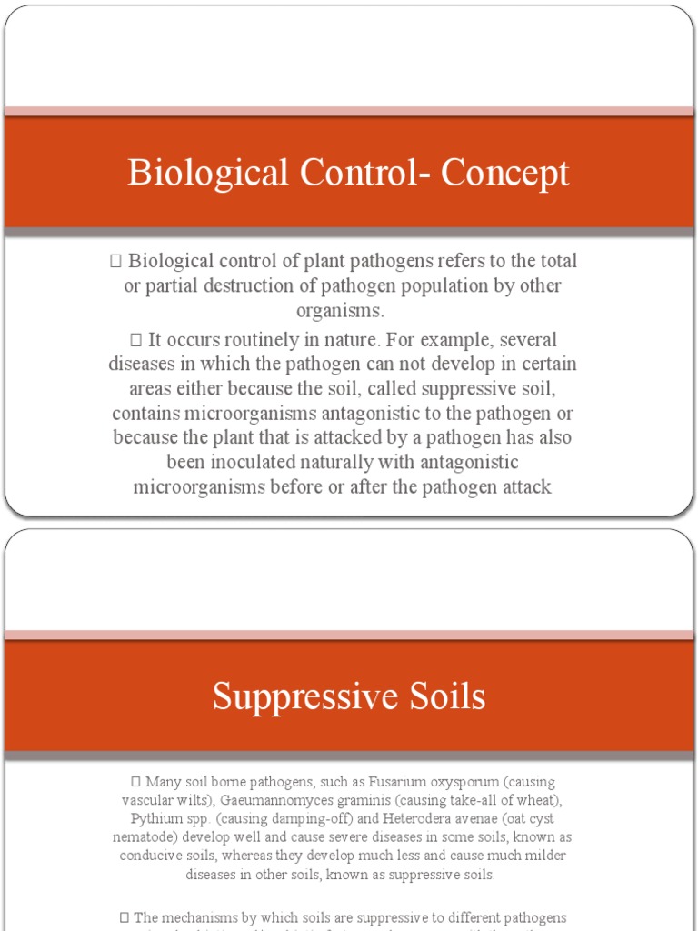 Biological Control of Plant Pathogens | PDF | Plant Pathology ...