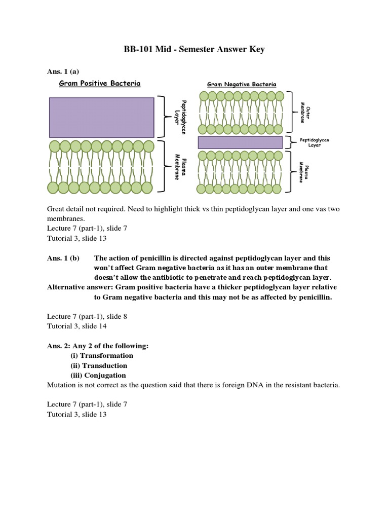 BB101 Answer Key Mid-Sem | PDF | Reverse Transcriptase | Virus