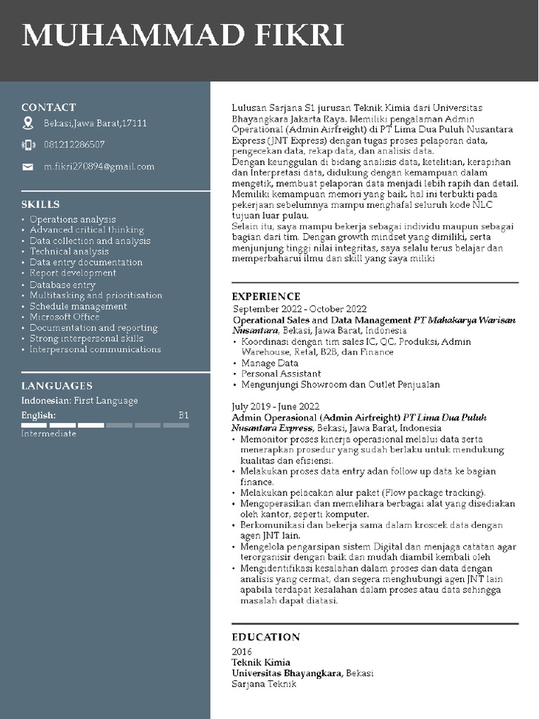 CV Fikri | PDF