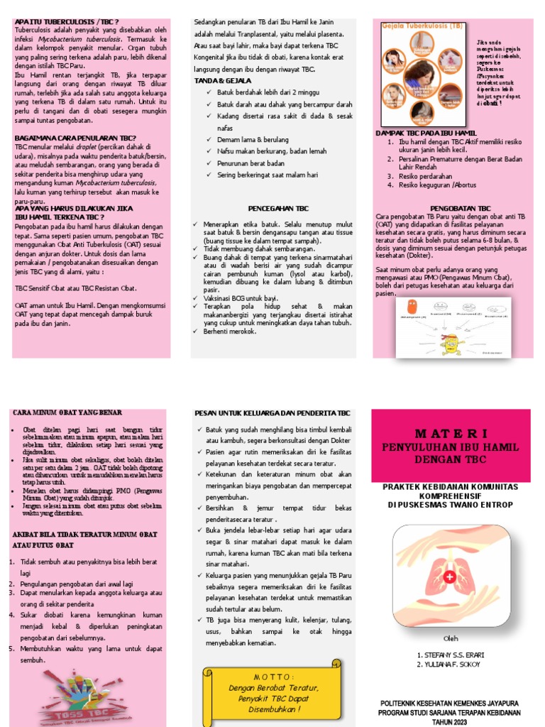 Leaflet Bumil TB | PDF