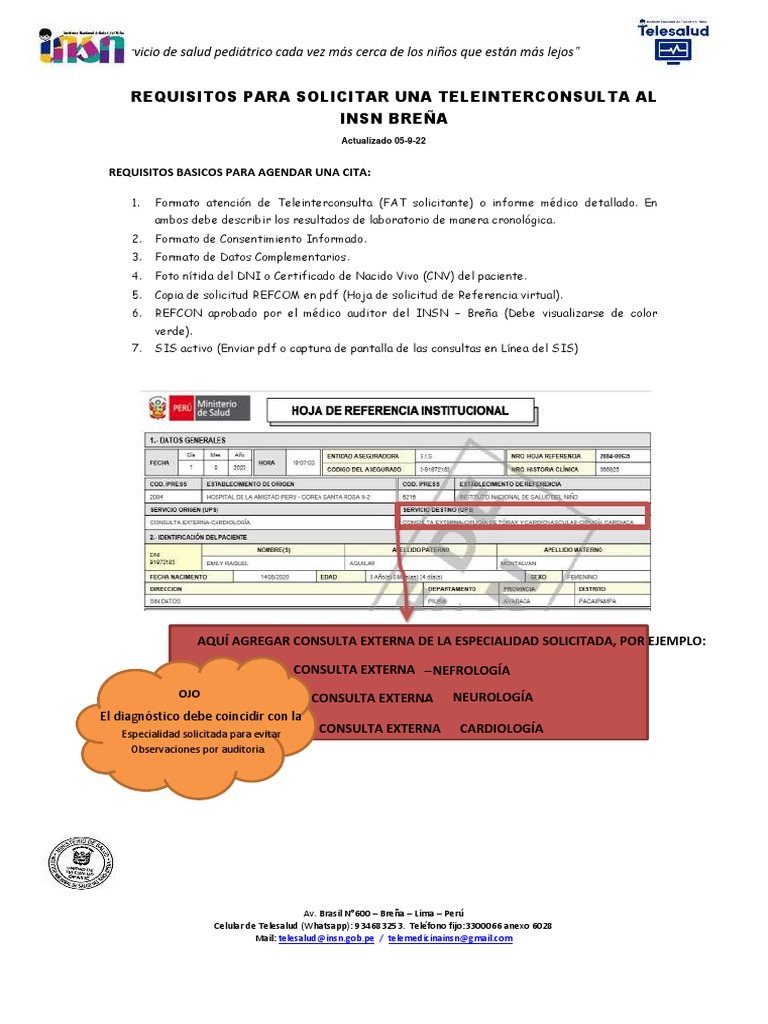 01 - RequisitosTeleinterconsulta INSN 15-3-21 PDF | PDF | Cuidado de la salud | Especialidades ...