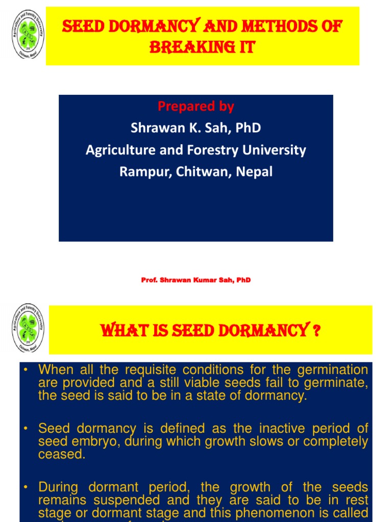 Breaking Seed Dormancy Classification Causes And Methods Pdf Seed Germination