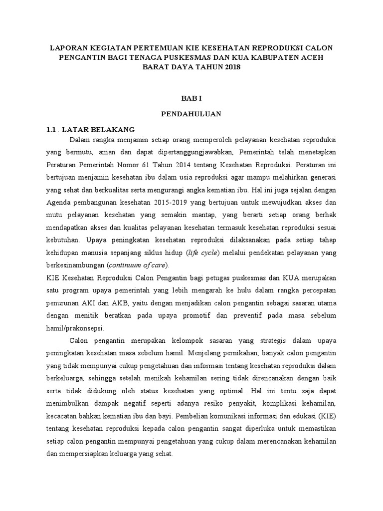 Laporan Kegiatan Catin | PDF