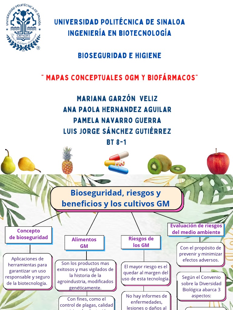 Mapa Conceptual OGM y Biofarmacos | PDF | Organismo genéticamente modificado | Biotecnología