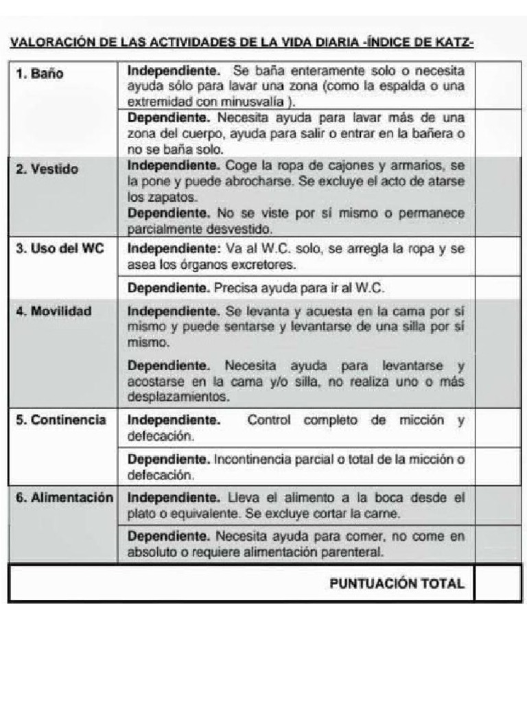 Instrumentos de Valoracion Del Adulto Mayor | PDF