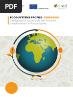 Temo Letlotlo Guidelines | PDF | Loans | Agriculture